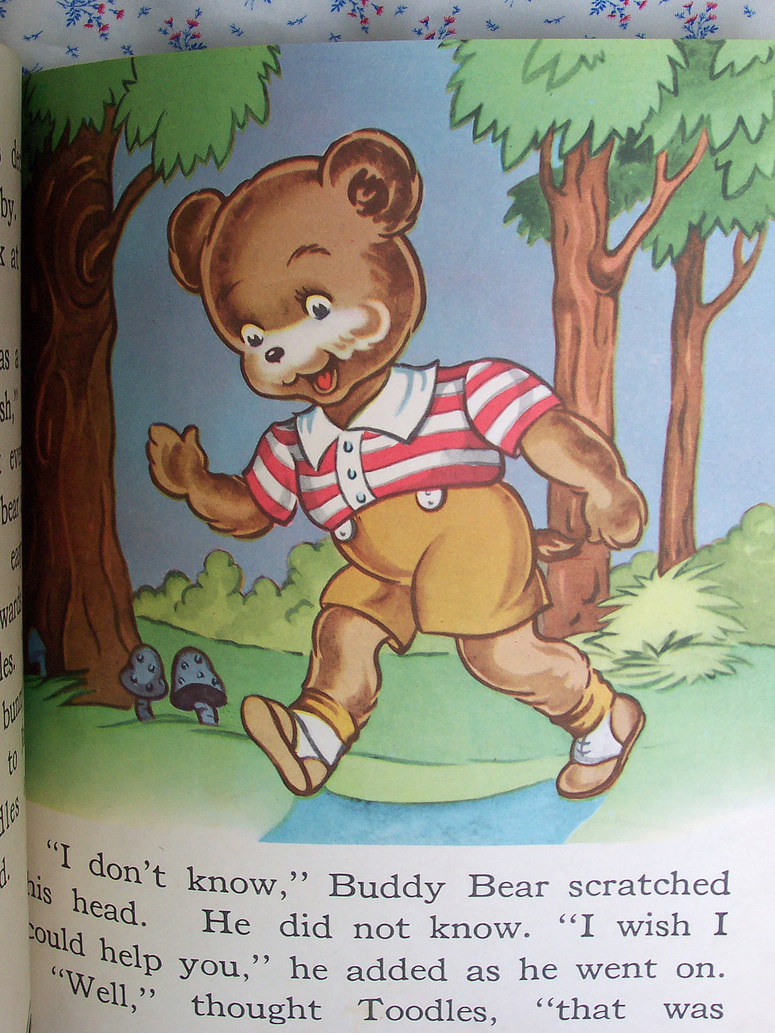 The Timid Bunny: Rare 1946 First Edition Children's Book - Etsy