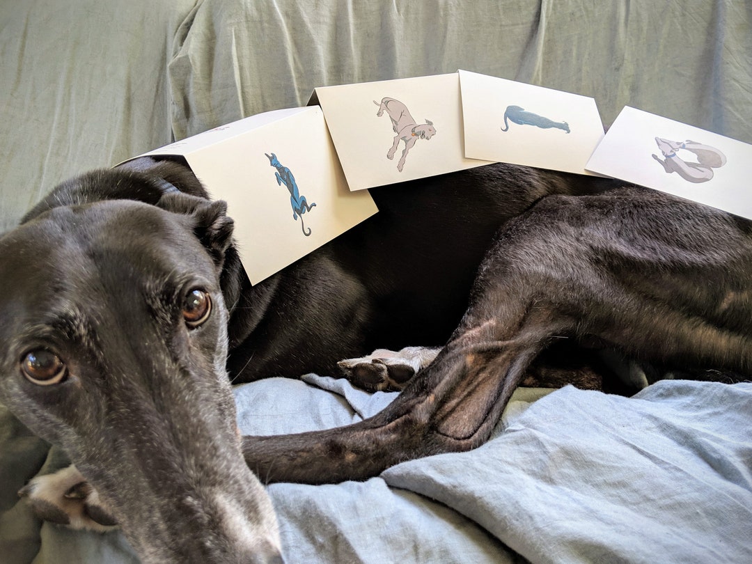 Lazy Loving Greyhound Greeting Cards Inspired by Jude the Rescue ...