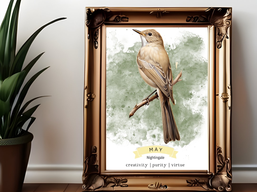 Birth Month Animal Printable Wall Art, MAY Birth Animal NIGHTINGALE May ...