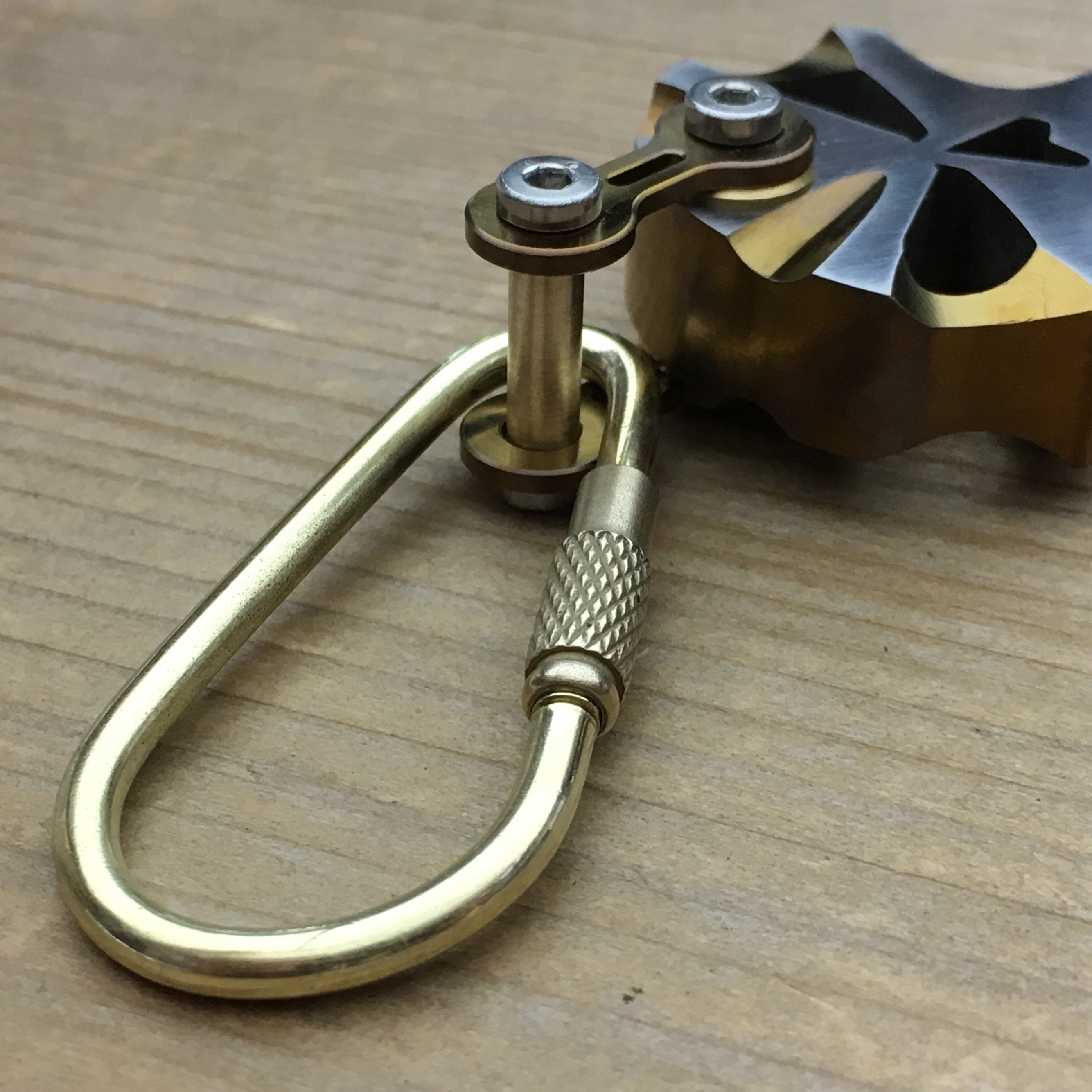 Skeleton Titanium Keychain, with Ti-Bike-Link