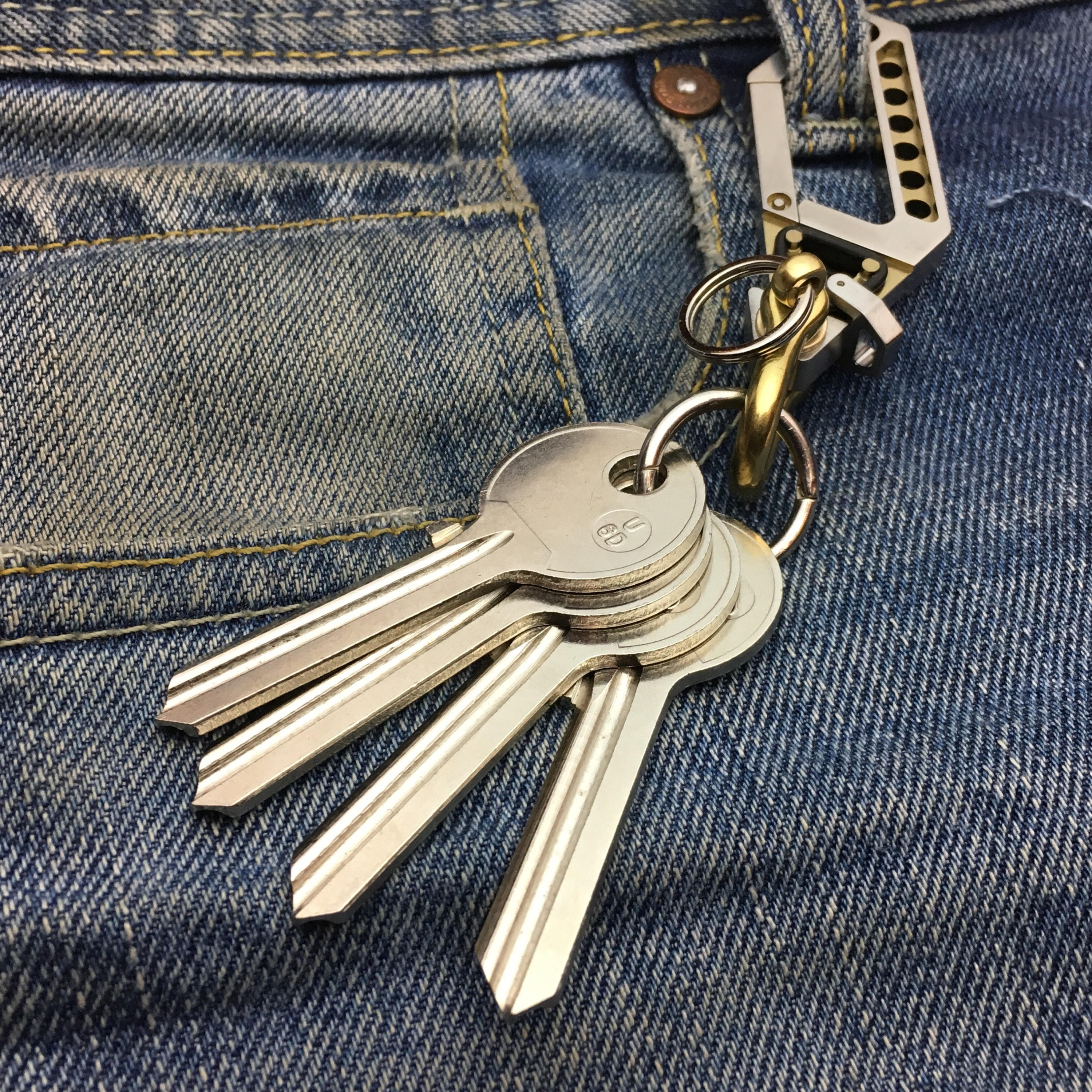 Ti- Drone Carabiner, Brass Shackle Key Chain