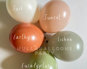 Earthy Palette Balloons | Little Cutie Birthday | Little Pumpkin Baby ...