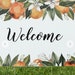 Citrus Welcome Sign Citrus Bridal Shower Little Cutie Baby - Etsy