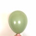 Mini Sage and Blush Balloons | Mini Blush and Sage Balloons | Mini 5 ...