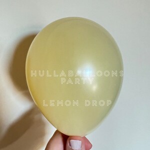 Sage and Citrus Balloons | Create Your Own Garland Double Layered ...