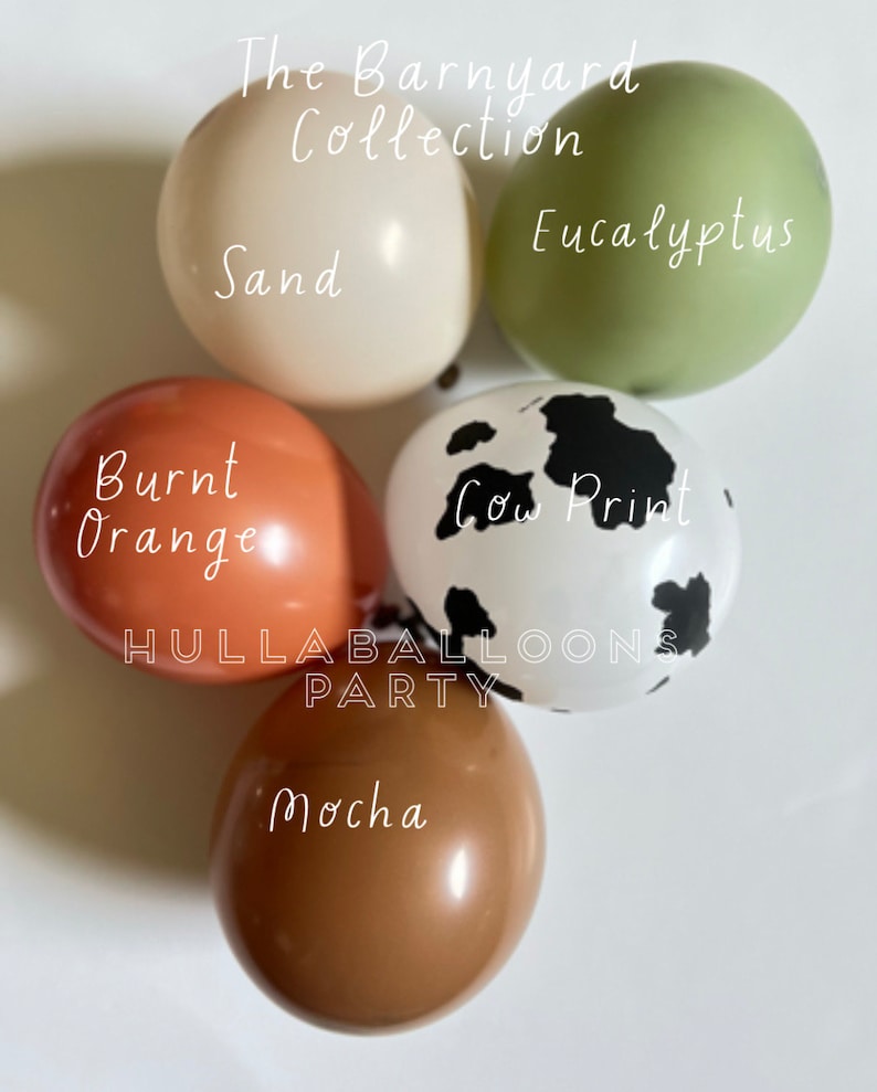Barnyard Balloons | Barnyard Birthday | Farm Baby Shower | Balloons for ...