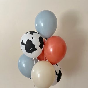 Barnyard Balloons | Fog and Burnt Orange Barnyard | Farm Birthday ...
