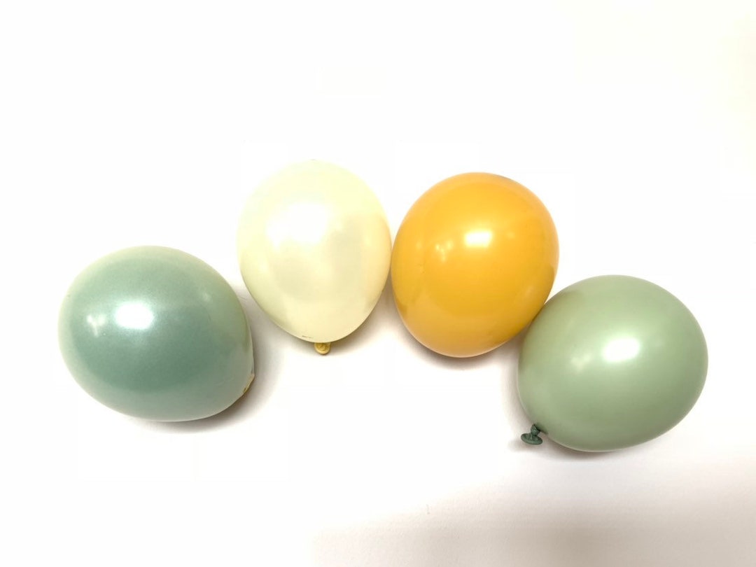 Mini Sage and Citrus Balloons | Mini Sage Balloons | Mini 5” Latex ...