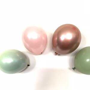 Mini Sage and Blush Balloons | Mini Blush and Sage Balloons | Mini 5 ...