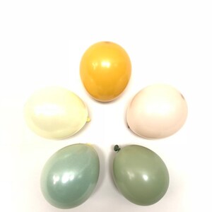Mini Sage and Citrus Balloons | Mini Sage Balloons | Mini 5” Latex ...