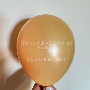 Sage and Citrus Balloons | Create Your Own Garland Double Layered ...