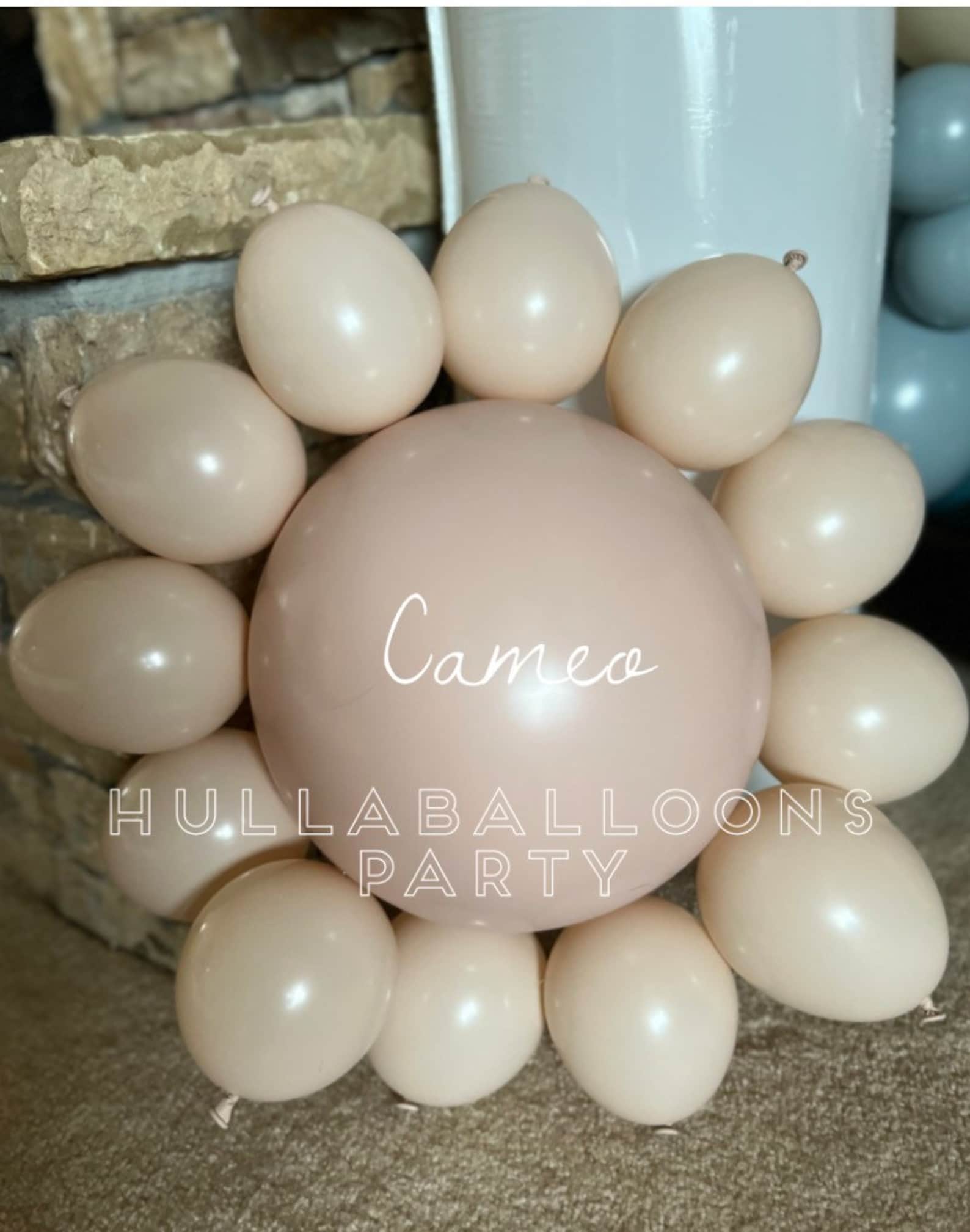 Little Sunshine Balloons First Trip Around the Sun Birthday Little ...