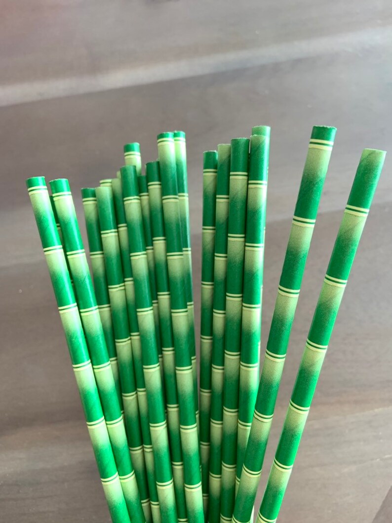 Tropical Straws Tropical Party Decor Bamboo Straws | Etsy