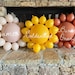 Little Sunshine Balloons | First Trip Around the Sun Birthday Little ...