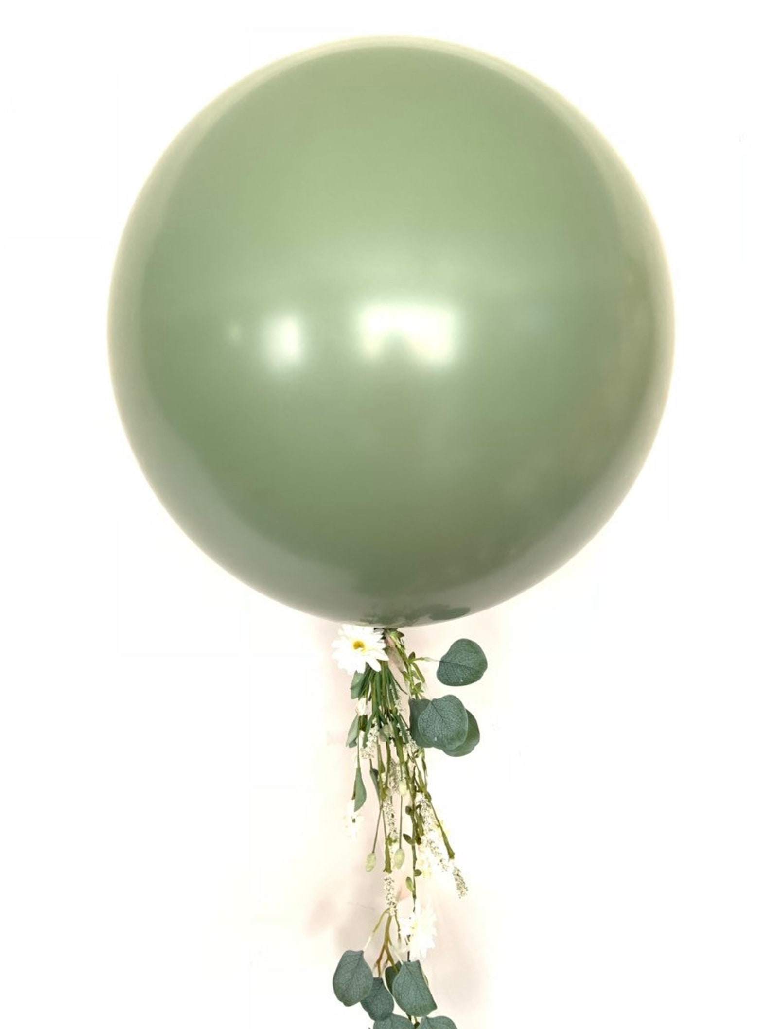 Jumbo Eucalyptus Green Balloons 24 Light Green Balloon Large Green ...
