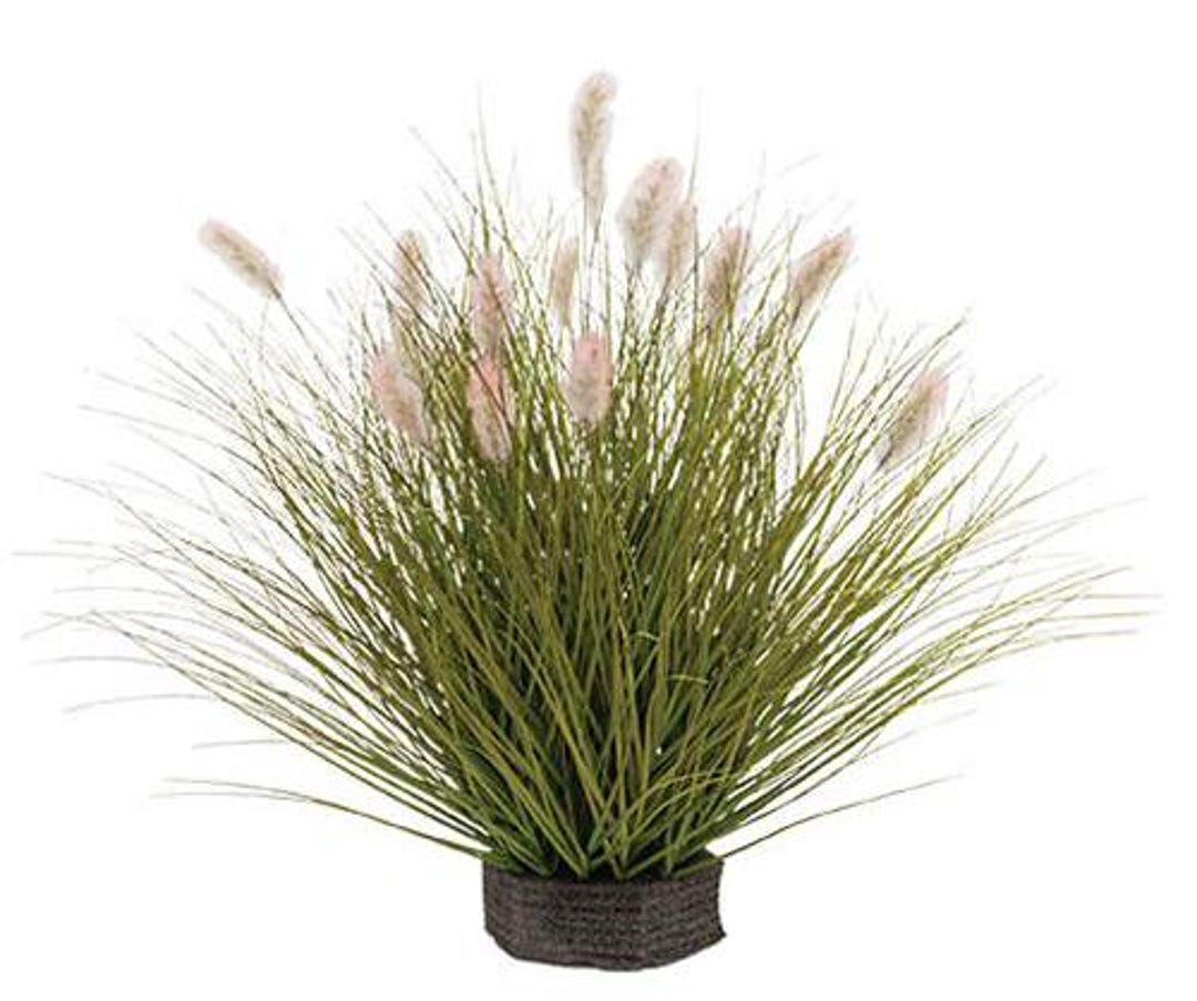 Onion Grass With Bunny Tails Faux Floral Filler - Etsy