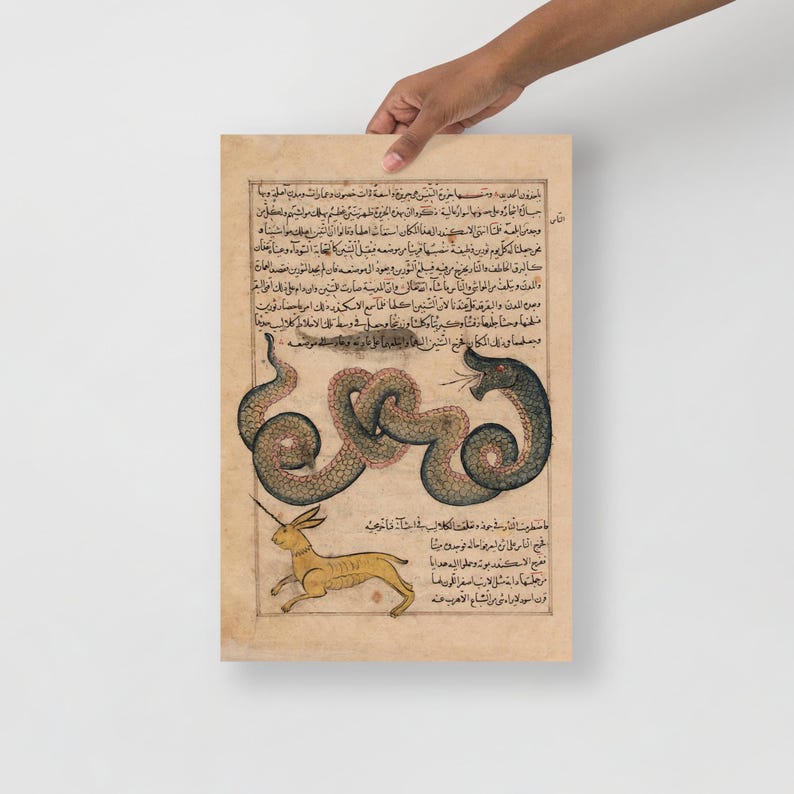 Medieval Snake Art Print, Antique Medieval Bestiary Wall Art, Medieval ...