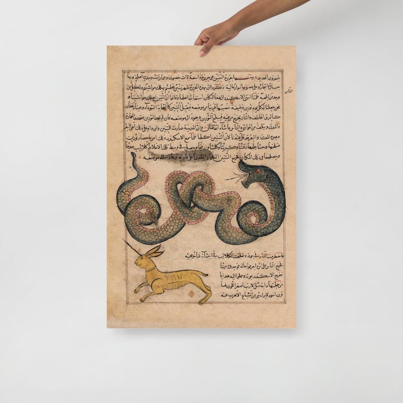 Medieval Snake Art Print, Antique Medieval Bestiary Wall Art, Medieval ...