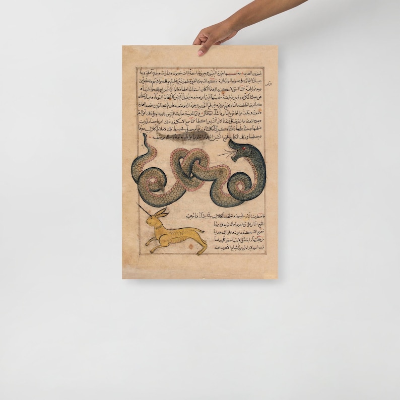 Medieval Snake Art Print, Antique Medieval Bestiary Wall Art, Medieval ...