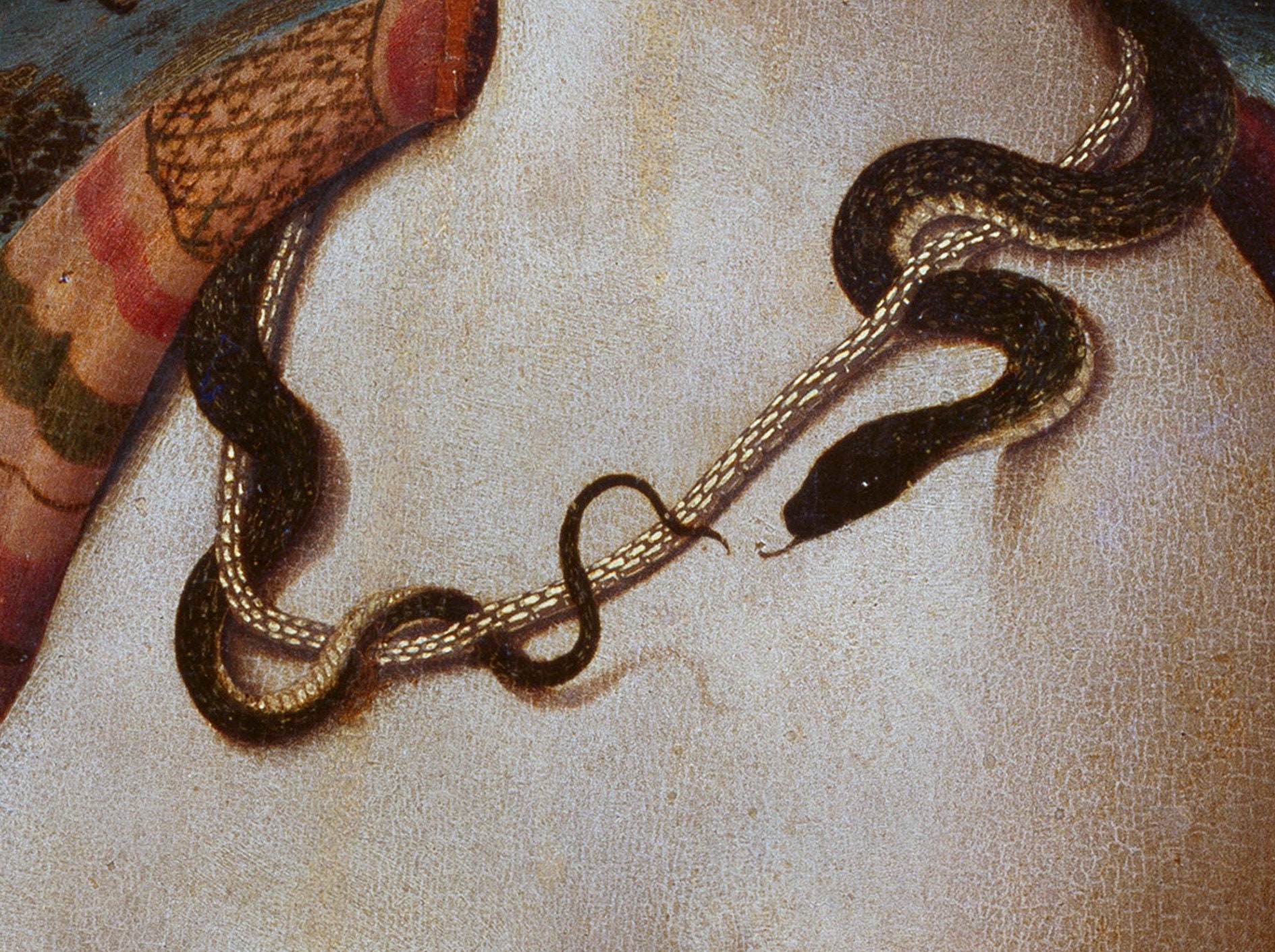 Retrato de Simonetta Vespucci Impresión por Piero di Cosimo | Etsy