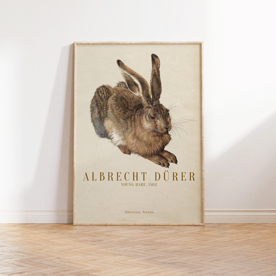 Albrecht Durer - Young Hare Art Print, Famous Art Print, Museum Poster ...