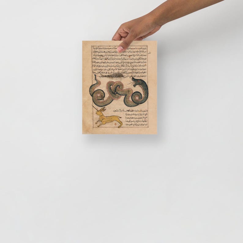 Medieval Snake Art Print, Antique Medieval Bestiary Wall Art, Medieval ...
