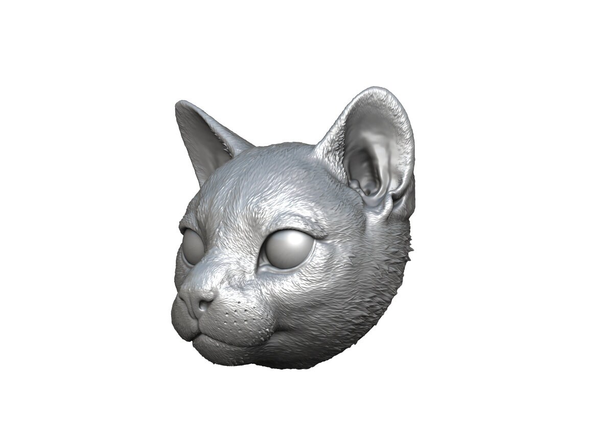 Cat Head for Art Dolls or Sculptures to Paint and Process Yourself, DIY ...
