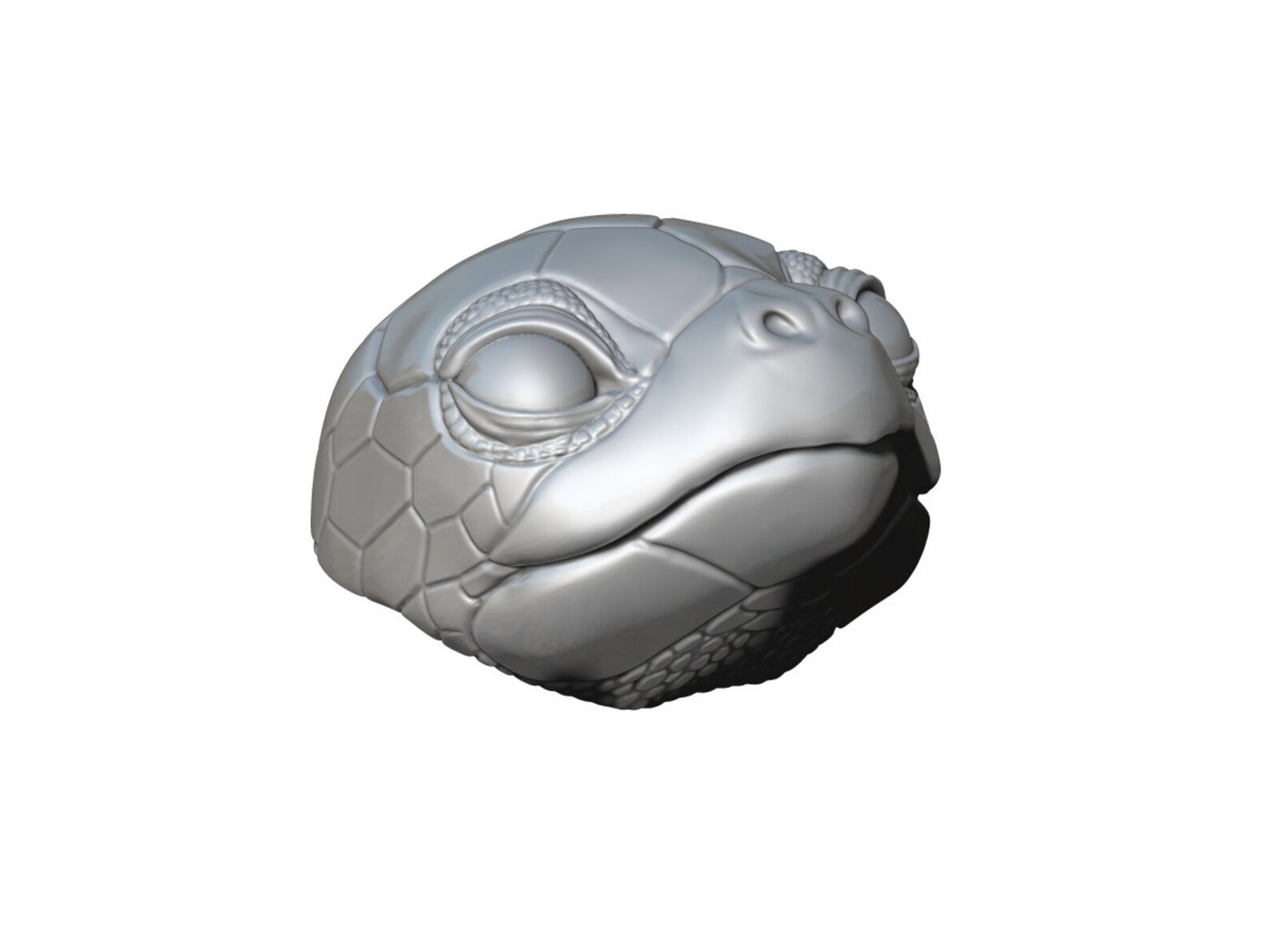 Sea Turtle Head for Art Dolls or Sculptures to Paint and Process ...