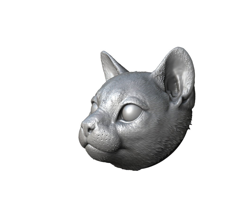 Cat Head for Art Dolls or Sculptures to Paint and Process Yourself, DIY ...