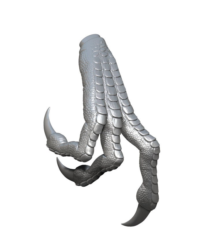 Raptor Hands for Art Dolls to Paint and Process Yourself DIY - Etsy