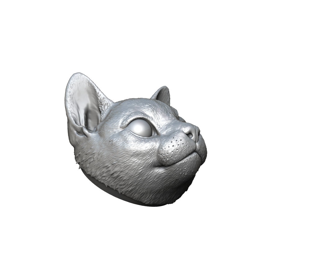 Cat Head for Art Dolls or Sculptures to Paint and Process - Etsy