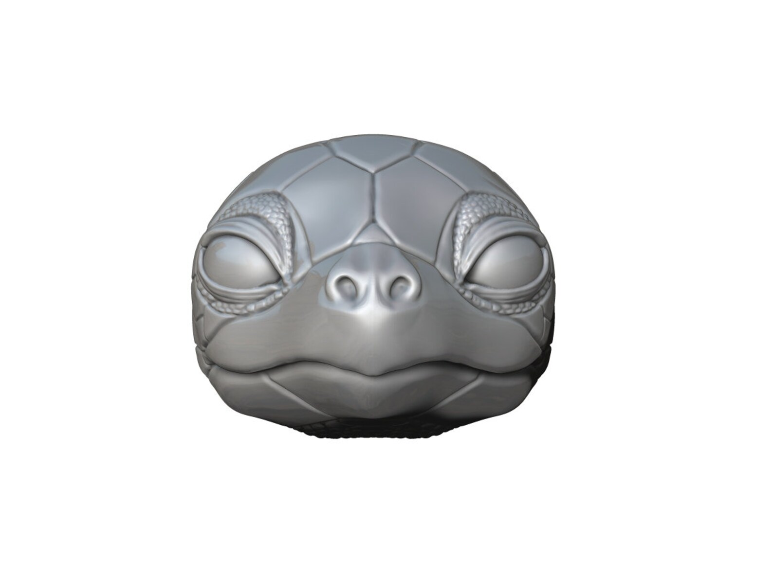 Sea Turtle Head for Art Dolls or Sculptures to Paint and Process ...