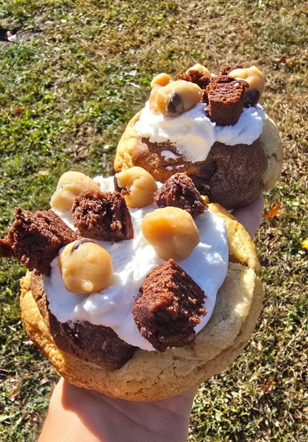 Half Baked Cookie- Chocolate Chip Brownie Cookie, Gourmet Cookie ...