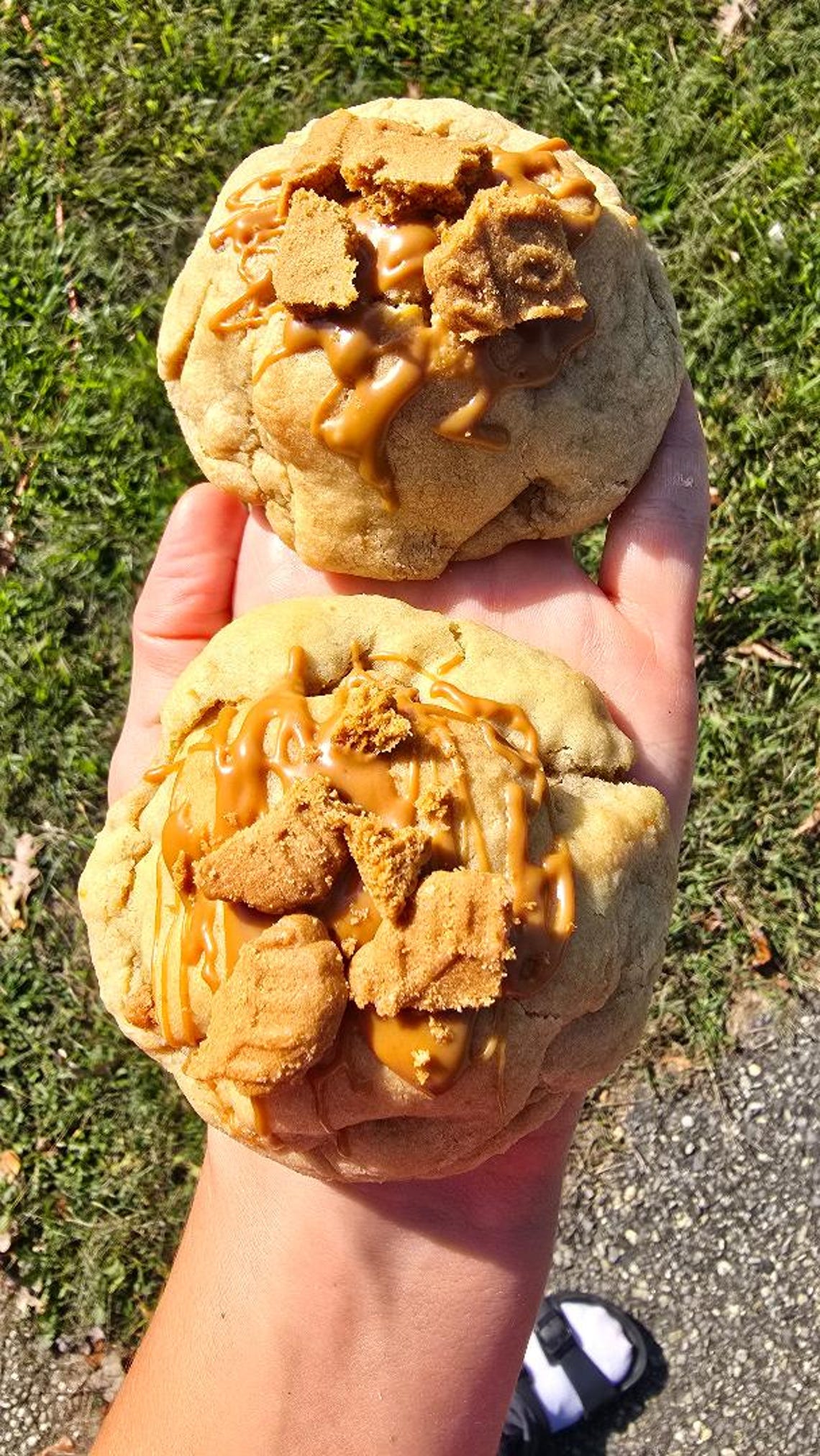 Cookie Butter Cheesecake Cookie- Stuffed Cookie, Gourmet Cookie ...