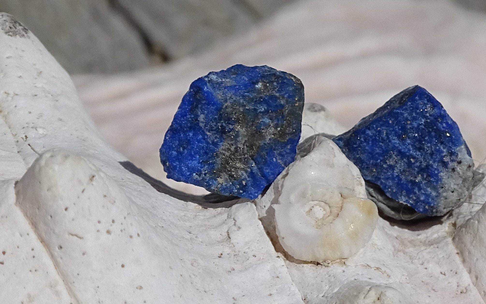 Gemstone stud earringslapis lazuli earringshypoallergenic | Etsy