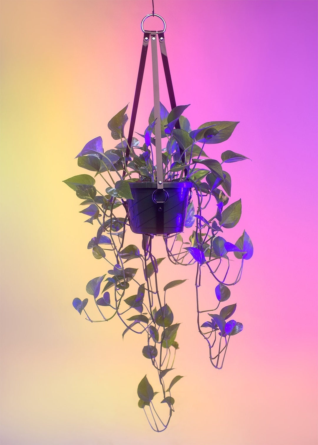 Harness Plant Hanger, Black Plant Hanger, Gothic Plant Hanger Harness ...