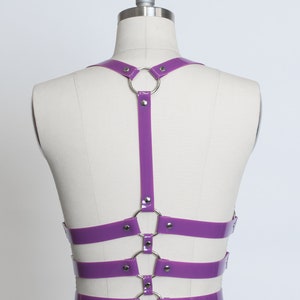 Ultra Violet Harness - Purple Pvc Harness, Pink Vinyl, Triple Buckle ...