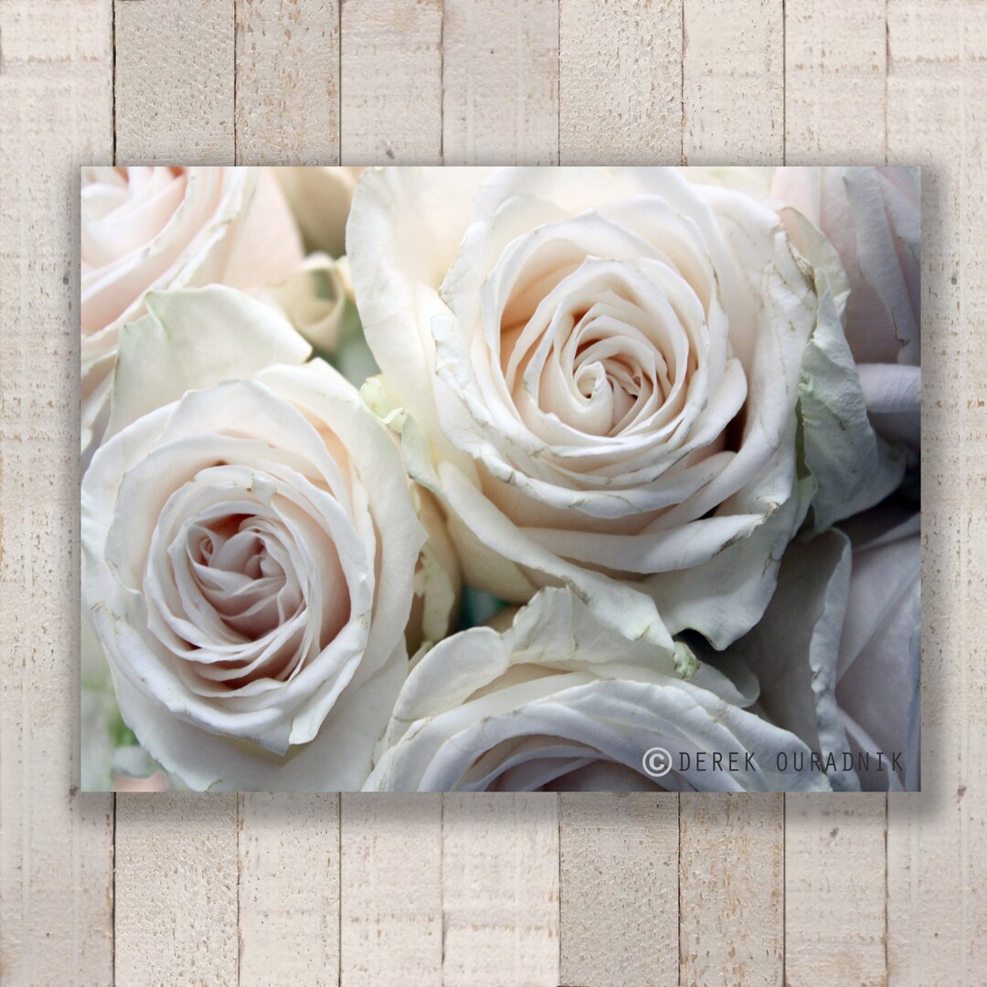 Derek Ouradnik Original Fine Art Photography Nature Flower Photo Print ...