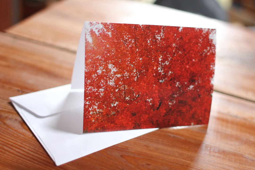 Derek Ouradnik Original Fine Art Photography Nature Flower Note Card ...