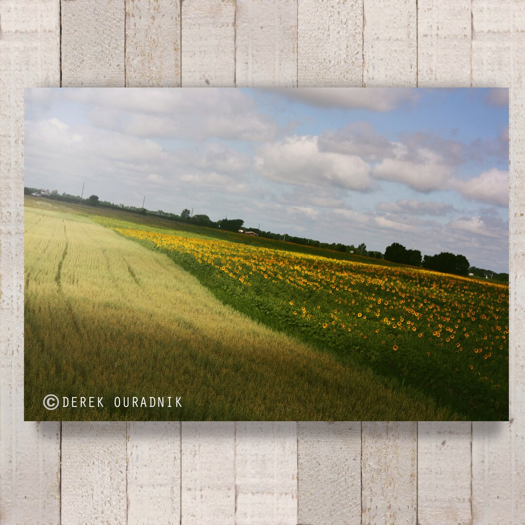 Derek Ouradnik Original Fine Art Photography Nature Flower Photo Print ...