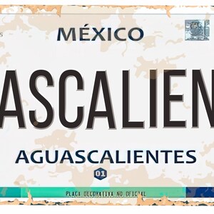 Set Aguascalientes Mexico Aluminum License Plate Sign Placa 6" X 12 ...