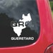 2 Pieces Queretaro Mexico Outline Map Stickers Decals 20 Colors to ...