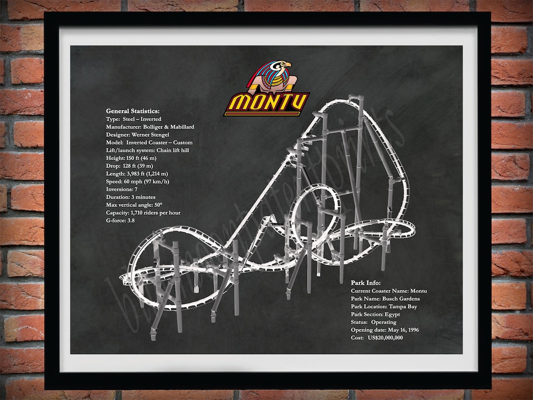 Montu Roller Coaster Drawing, Busch Gardens Roller Coaster, Montu ...