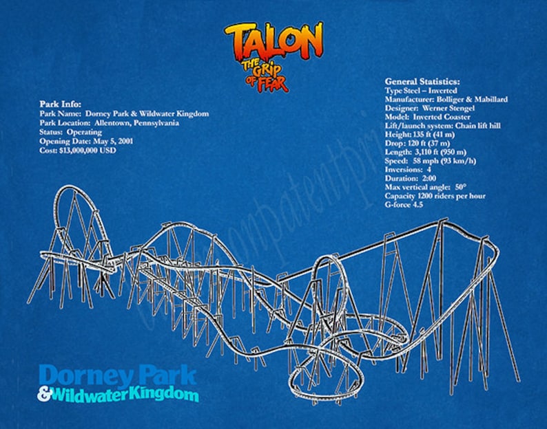 Talon The Grip of Fear Roller Coaster Drawing Dorney Park | Etsy