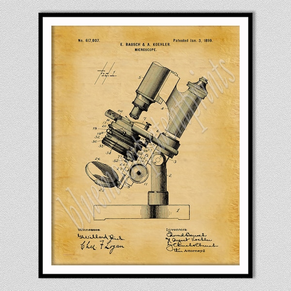 Microbiology Poster - Etsy