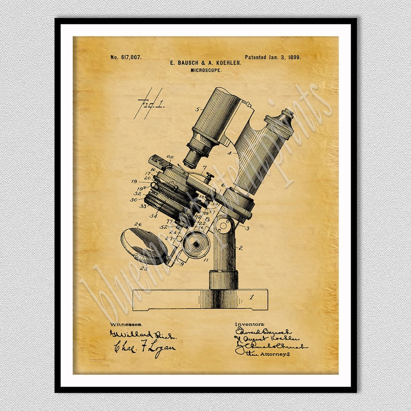 Microbiology Poster - Etsy