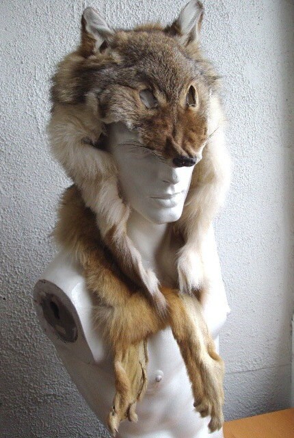 Brand New Natural Coyote Head & Tail Fur Hood Hat Men Man One Size ...