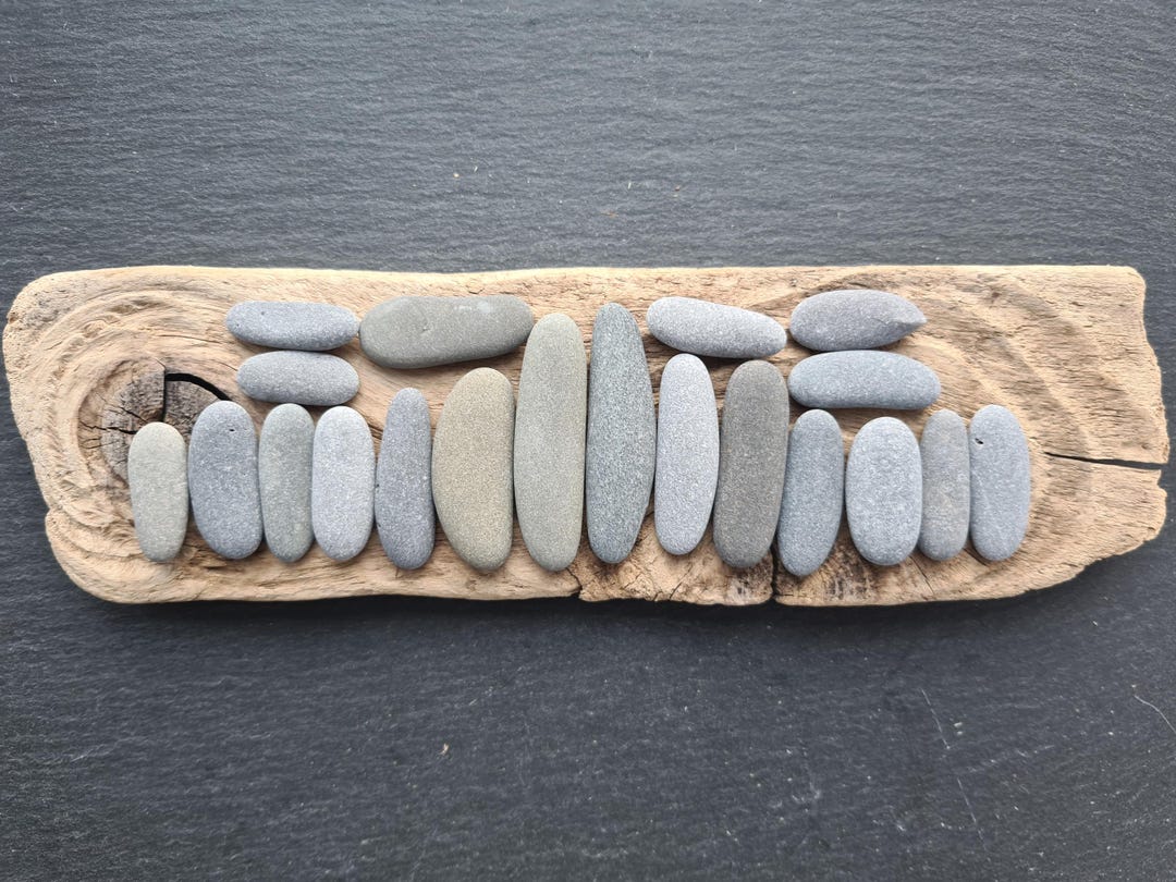 Set of 20 Long Pebbles / 20 Elongated Stones / Pebble Art Supplies - Etsy