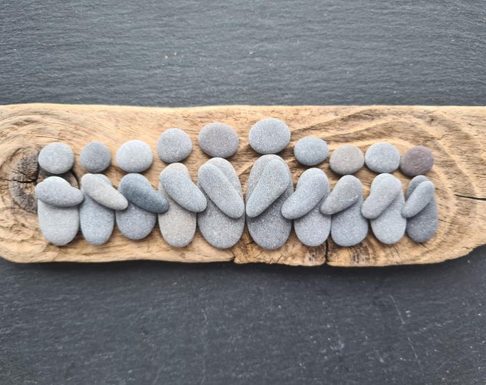 Set of 30 Flat Pebbles for Body Parts / Heads, Bodies and Arms / Round ...
