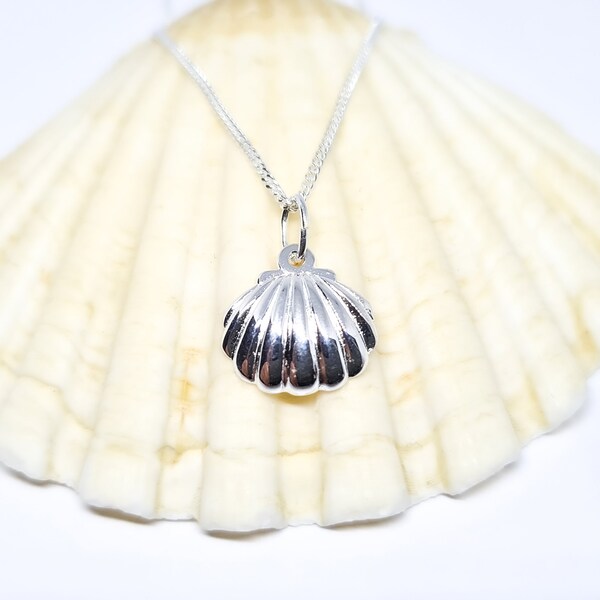 Clam Shell Jewelry - Etsy